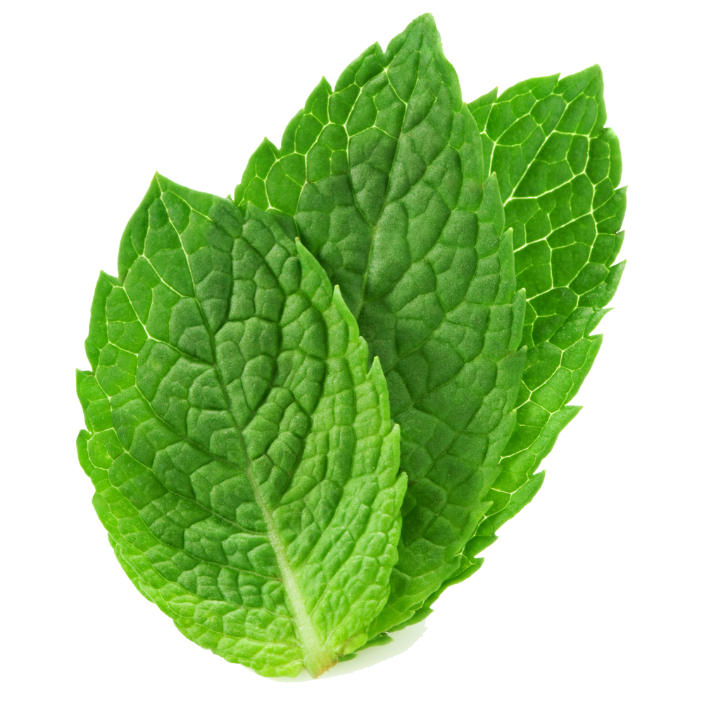 Fresh mint leaves Vitality Bowls