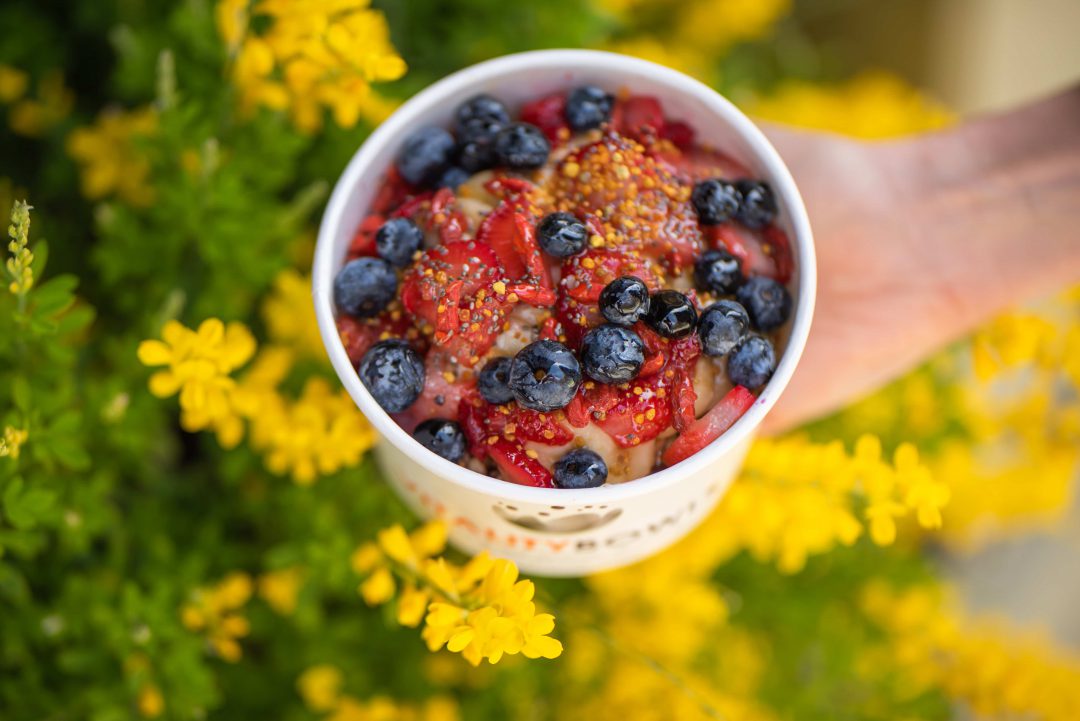 Franchising.com: Vitality Bowls Invites Fans to Celebrate National Açaí ...